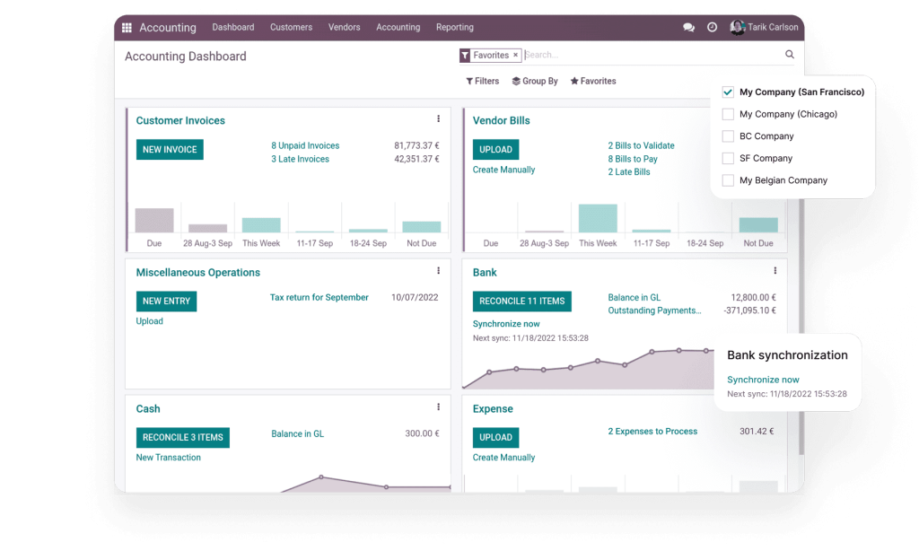 Custom Odoo Development & Implementation Services