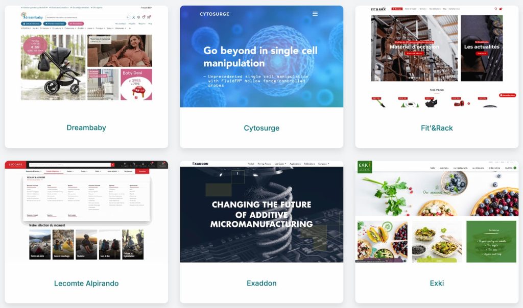 Odoo Website Builder: Key Features, Pros and Cons