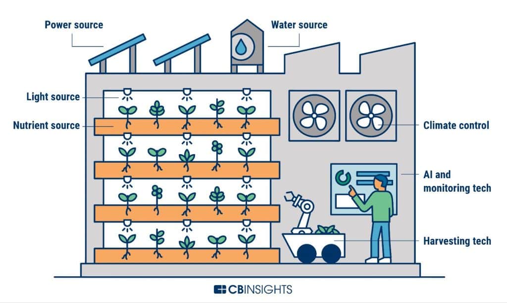 Vertical Farming Technology: Everything You Need to Know