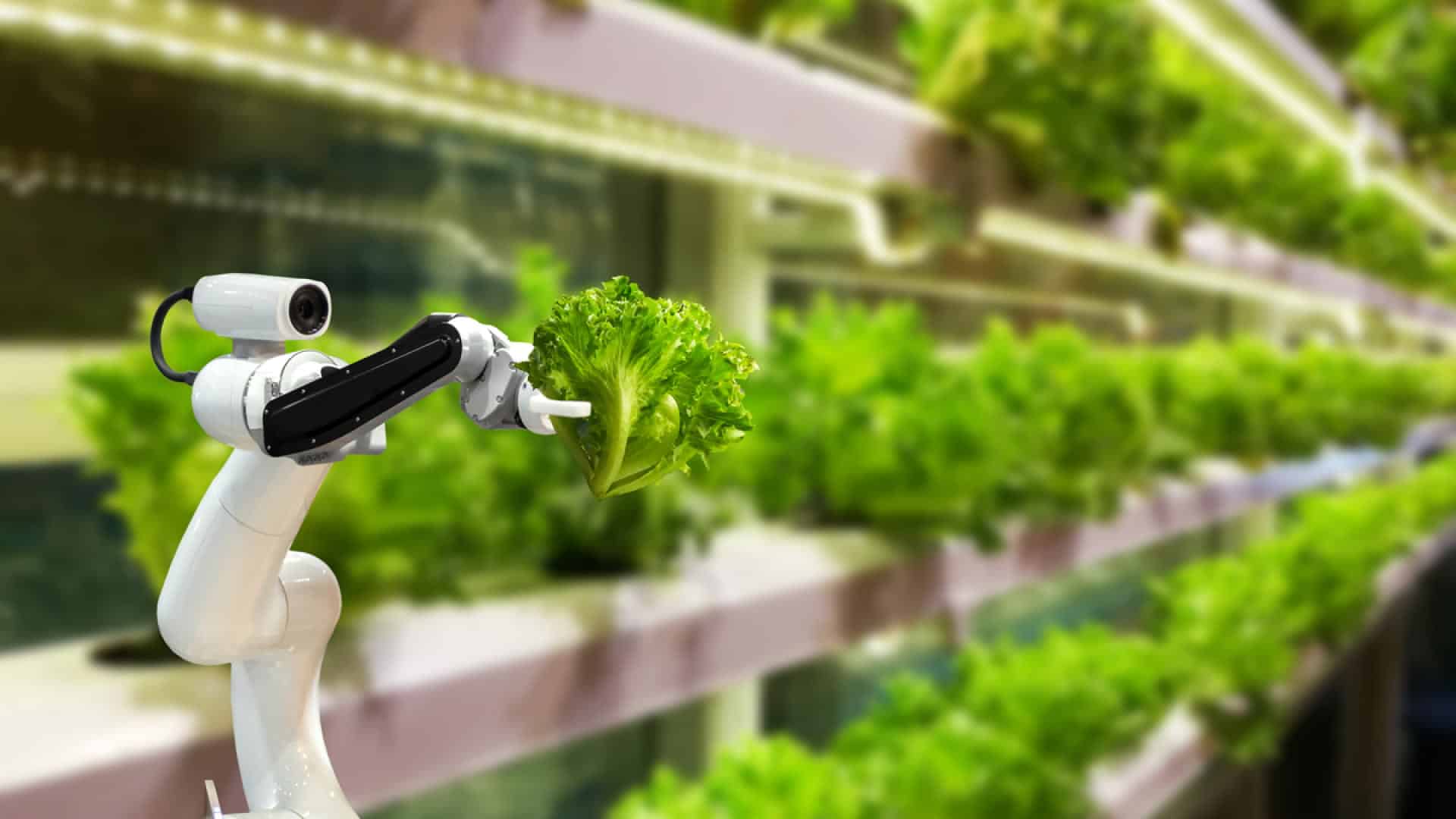 Vertical Farming Technology: Everything You Need to Know